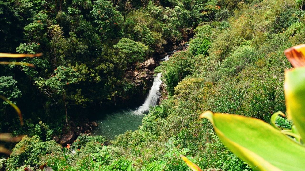 Best Waterfall Rappelling Spots in the World, Ranked!