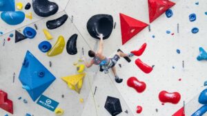 Types of Climbing Wall Holds: How to choose and plot them?