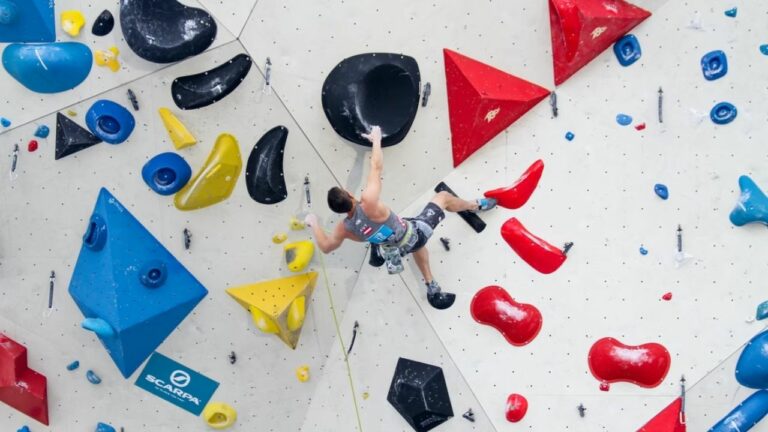 Types of Climbing Wall Holds: How to choose and plot them?