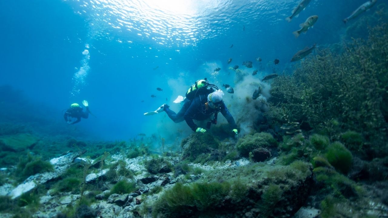 How to scuba dive and get good at it? A Beginner’s Guide